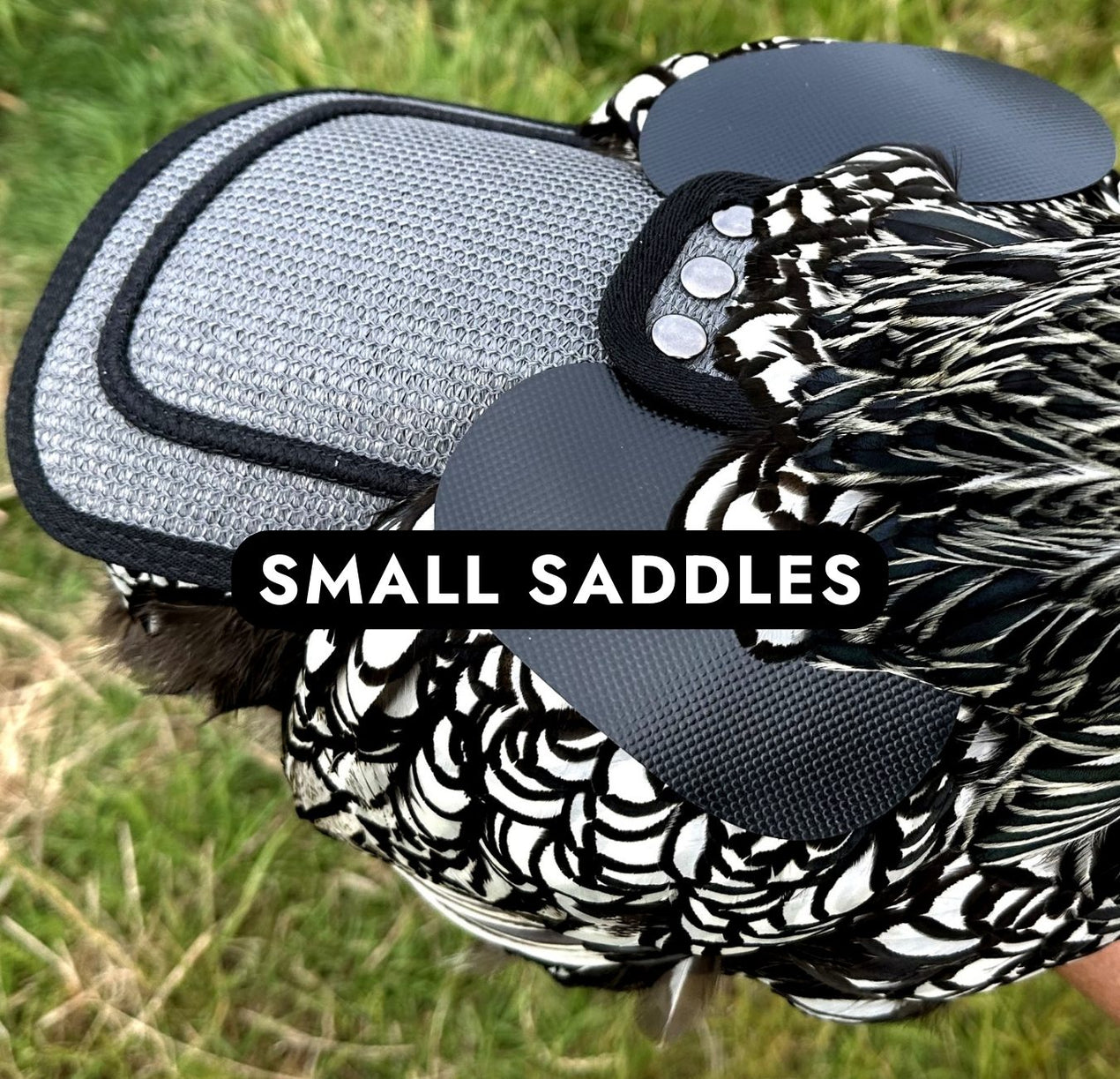 Chicken Saddles – Down Under Outdoors