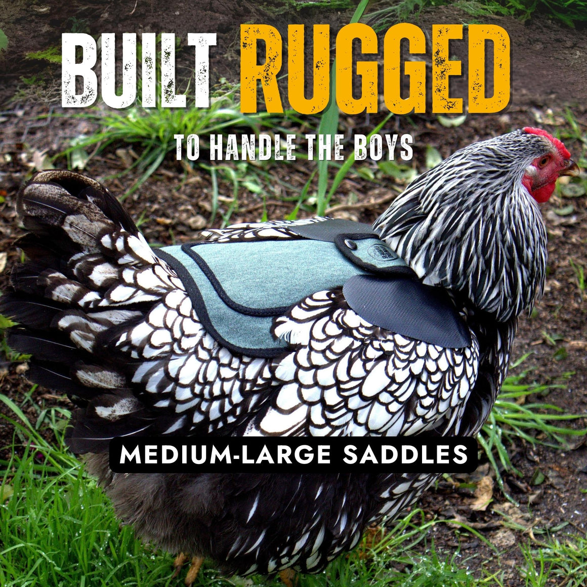 Chicken Saddles – Down Under Outdoors